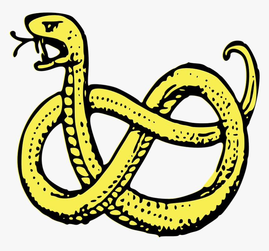 Snake, Coiled, Serpent, Predator, Isolated, Drawing - Coat Of Arms ...