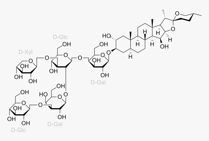 Digitonin, Explicit - Struktur Digitonin, HD Png Download , Transparent ...