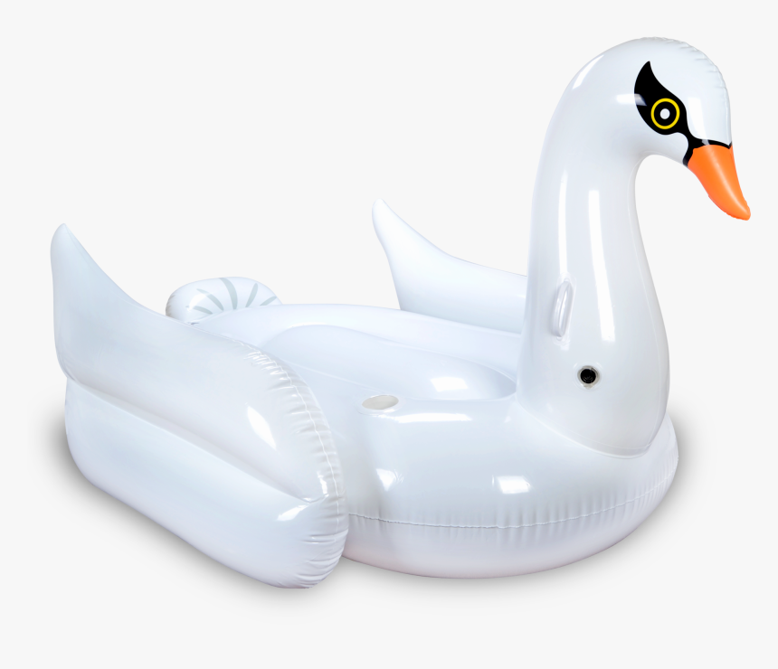 Pool Floatie Png, Transparent Png , Transparent Png Image - PNGitem