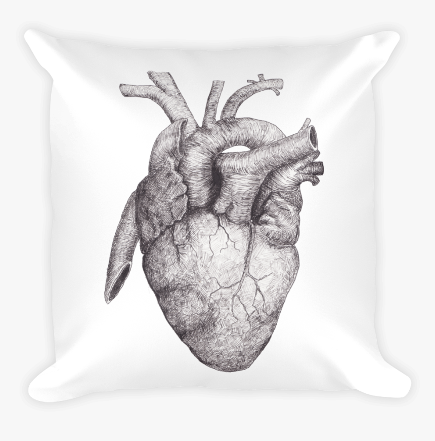 Transparent Anatomical Heart Png - Fall Of Hearts Cd, Png Download ...