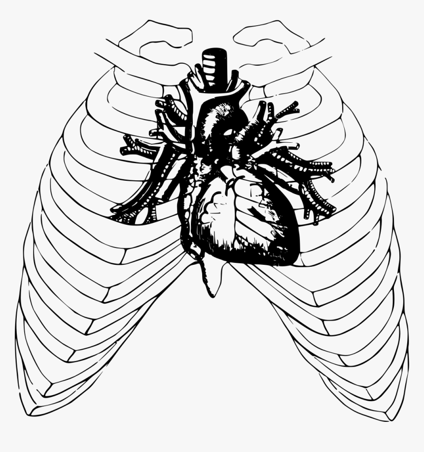 Tell Tale Heart, HD Png Download , Transparent Png Image - PNGitem