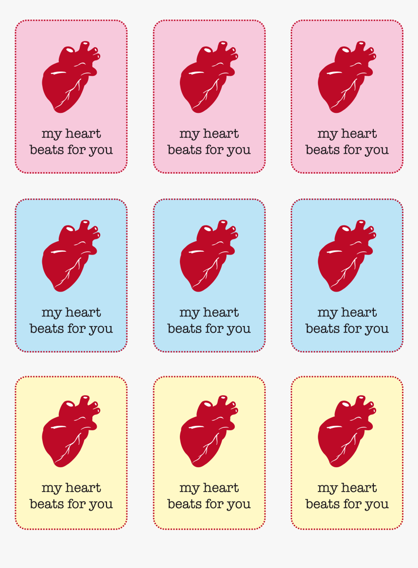 Transparent Anatomical Heart Png - Real Heart Valentines Card, Png ...