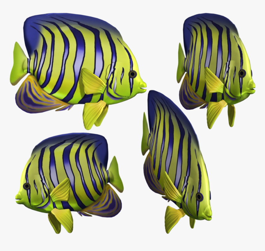 Transparent Sea Fish Png, Png Download , Transparent Png Image - PNGitem