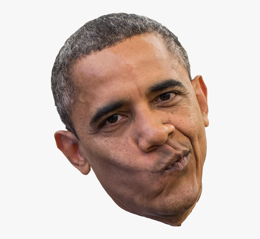 White House Barack Obama 2013 Presidential Inauguration - Barack Obama Head Png, Transparent Png ...