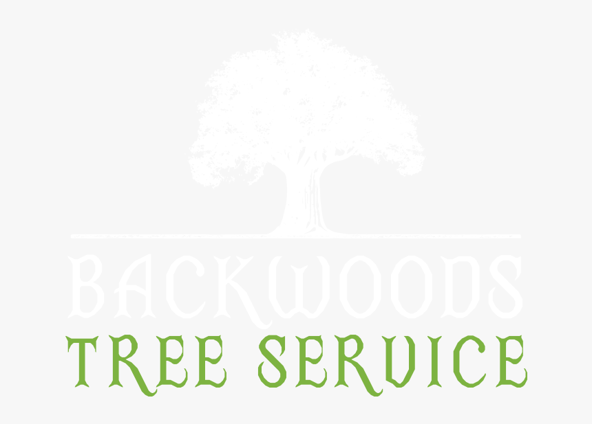 Backwoods Tree Service Logo - Tree, HD Png Download , Transparent Png ...