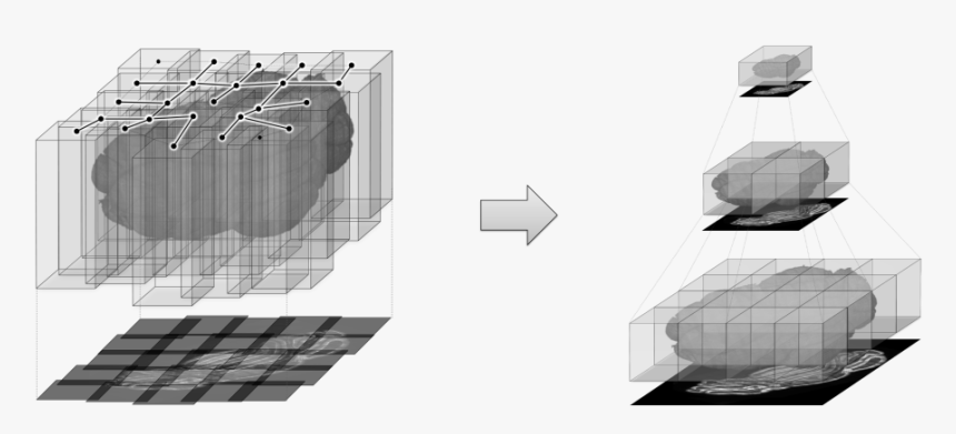 Microscope Stitching, HD Png Download , Transparent Png Image - PNGitem