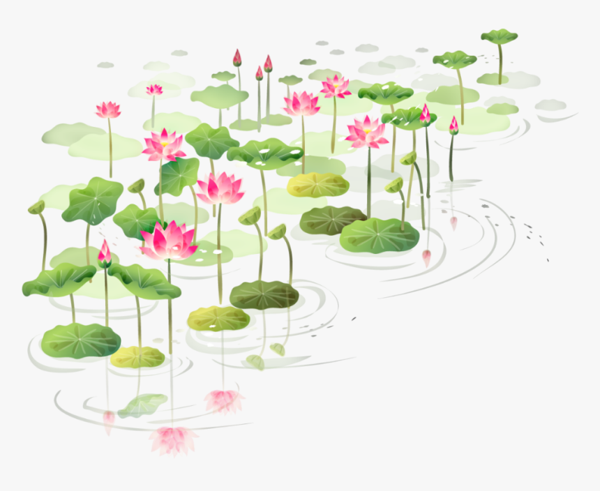 Drawn Lotus Shapla - Floral Lotus Frame Png, Transparent Png ...