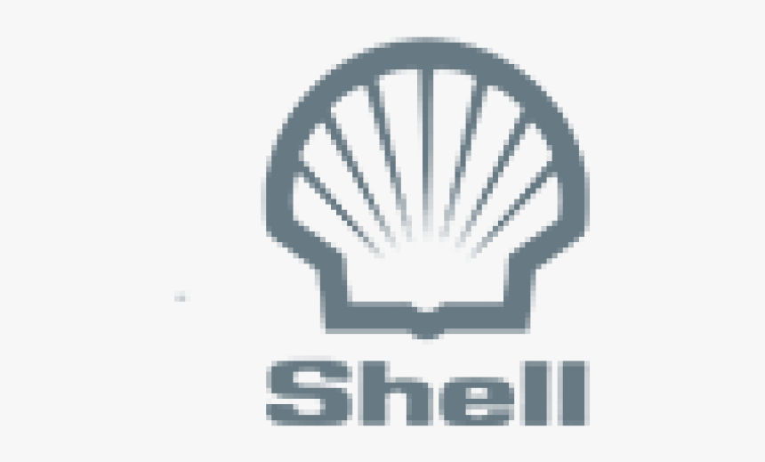 Shell, HD Png Download , Transparent Png Image - PNGitem