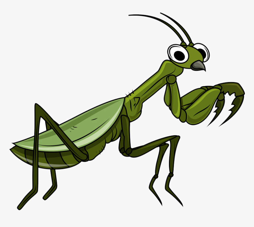Transparent Mantis Clipart, HD Png Download , Transparent Png Image ...