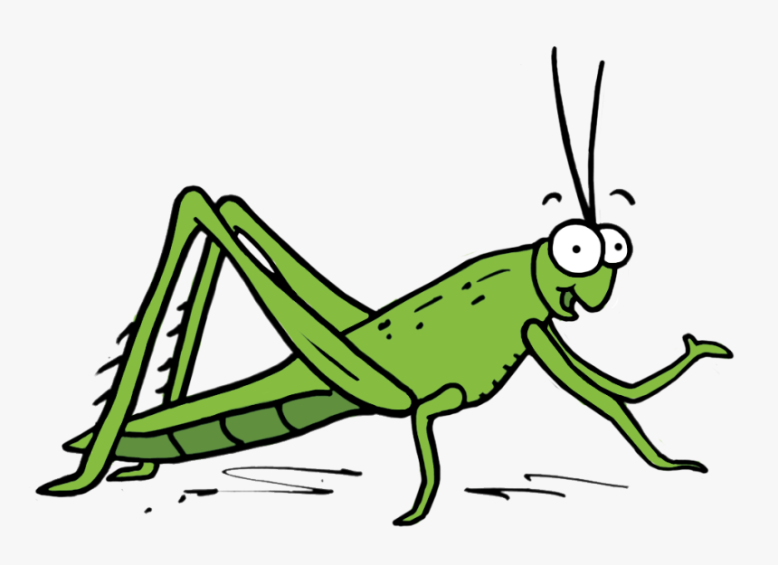 Oecanthidae, HD Png Download , Transparent Png Image - PNGitem