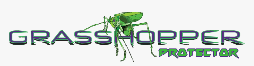 Weevil, HD Png Download , Transparent Png Image - PNGitem