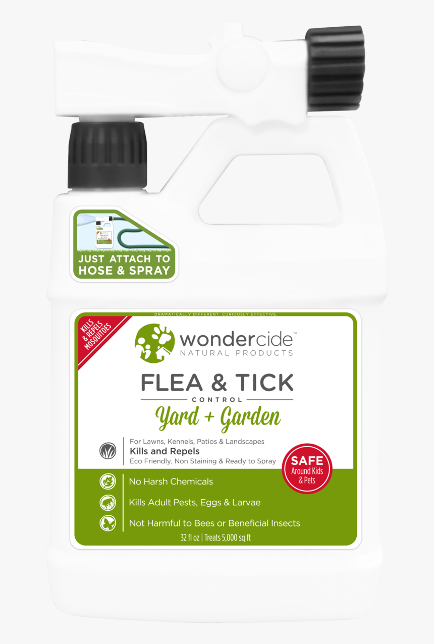 Flea, HD Png Download , Transparent Png Image - PNGitem