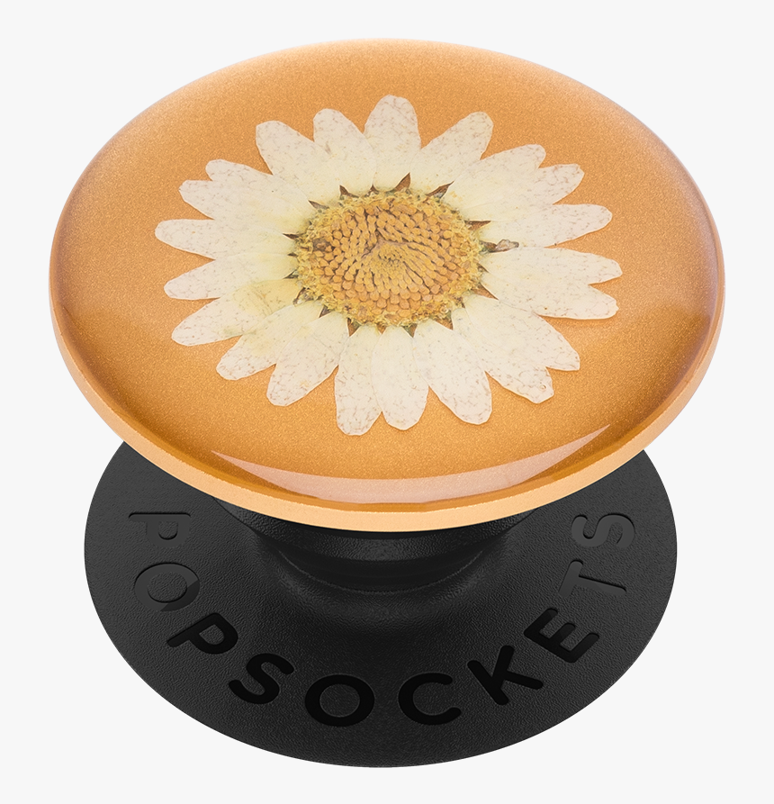 Null - Pressed Flower Popsocket Daisy, HD Png Download , Transparent ...