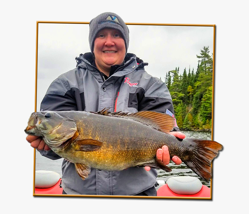 Smallmouth Bass - Pull Fish Out Of Water, HD Png Download , Transparent ...