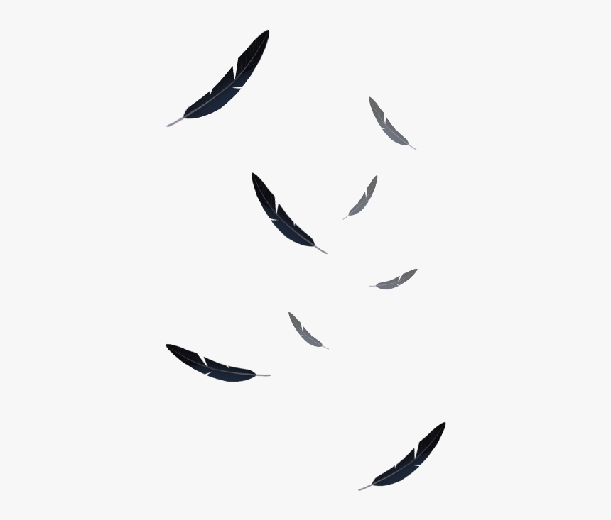 #ftestickers #feather #feathers #falling, HD Png Download , Transparent ...