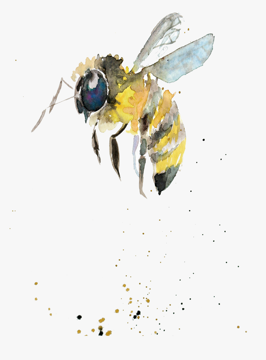 Bumblebee Watercolor Painting Drawing Insect Watercolor - Watercolor ...