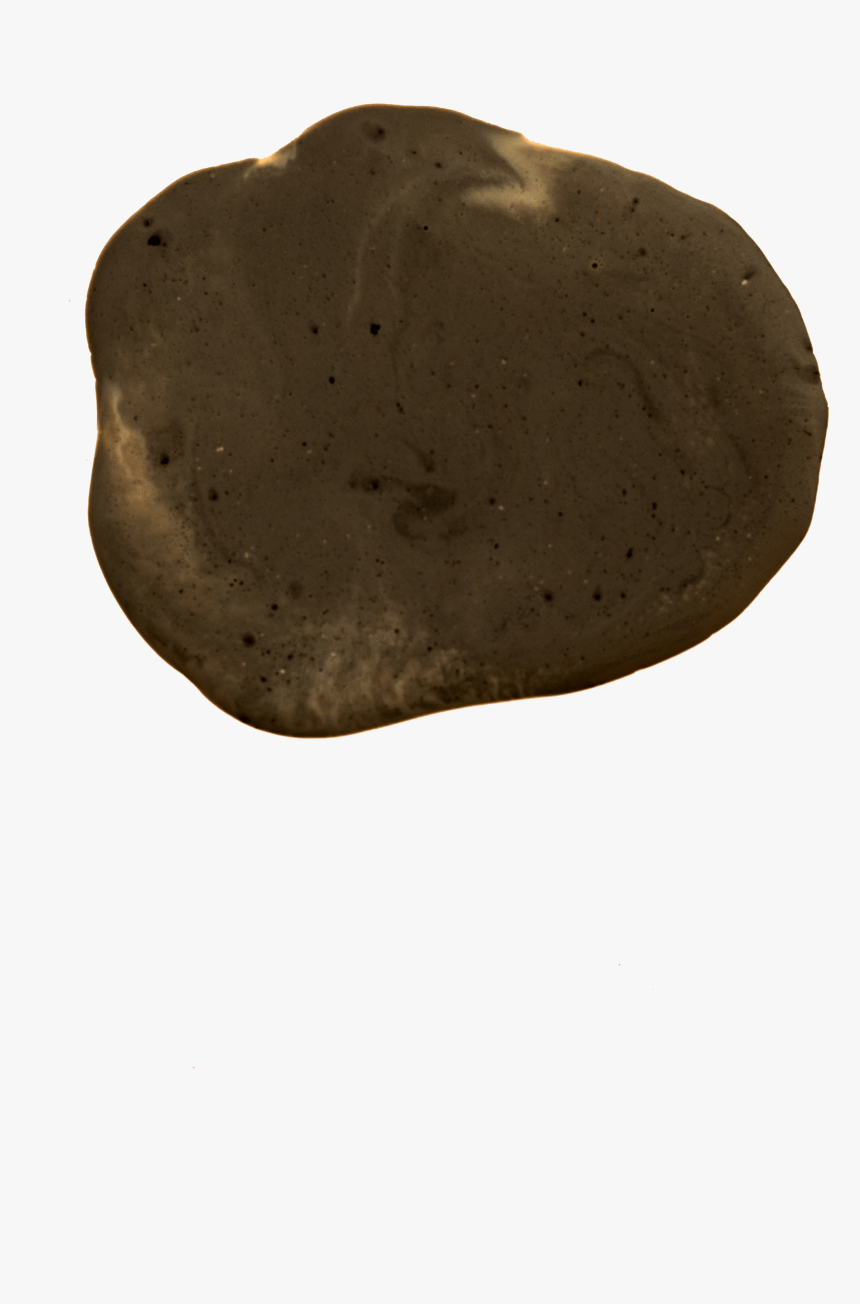 Flounder Png, Transparent Png , Transparent Png Image - PNGitem