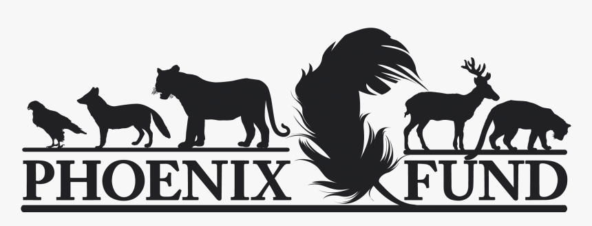 Transparent Fire Phoenix Png - Phoenix Fund Logo, Png Download ...
