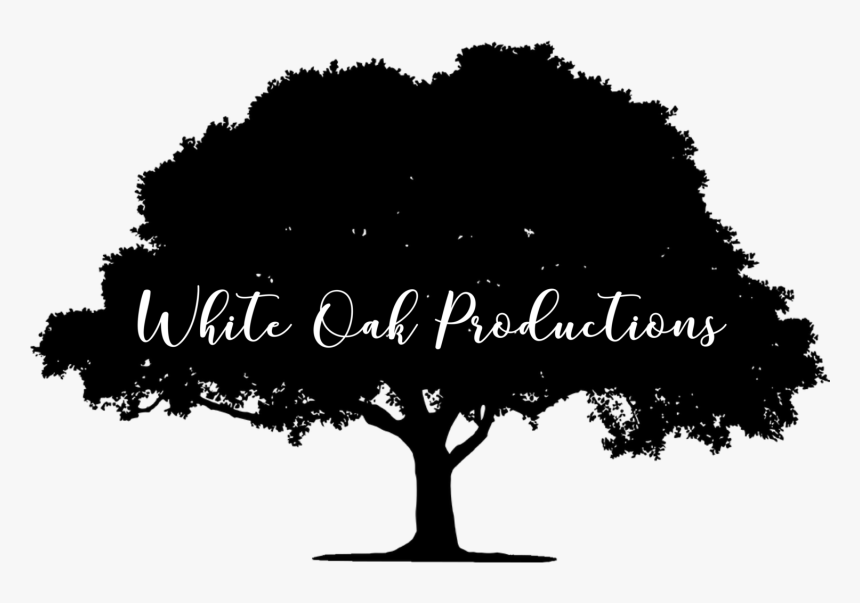 Black And White Oak Tree Transparent - Tree Vector Png Black, Png ...