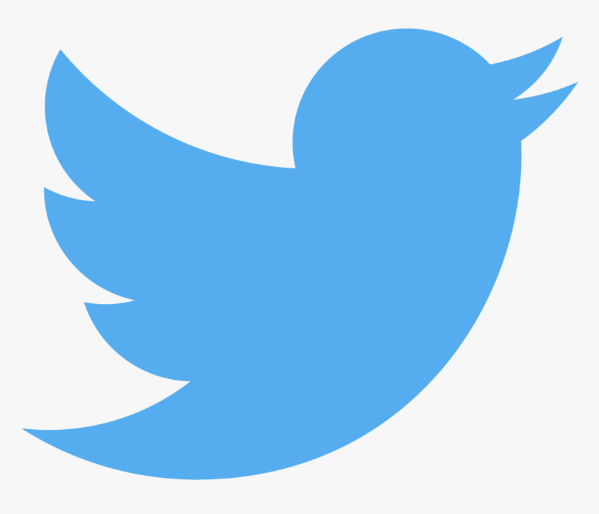 Twitter Bird Logo, HD Png Download , Transparent Png Image - PNGitem