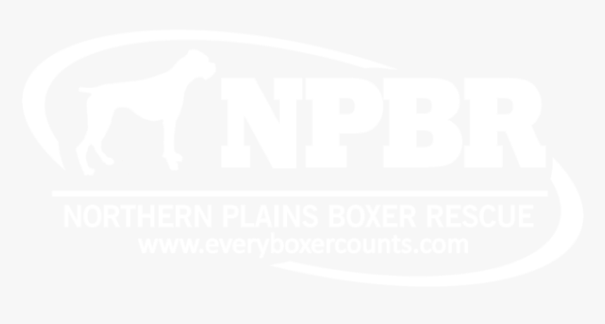 Boxer Png, Transparent Png , Transparent Png Image - PNGitem