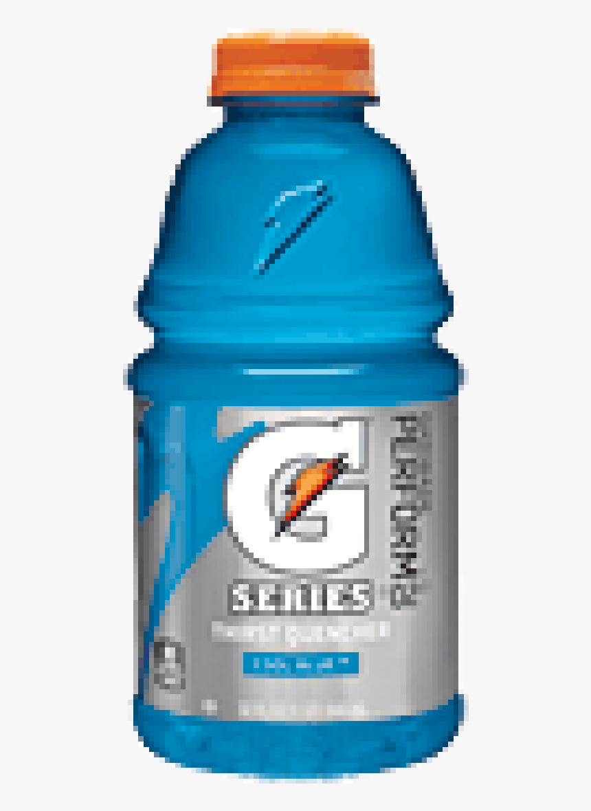 Gatorade 32 Oz Thirst Quencher Sports Drink Magnum - Fierce Grape ...