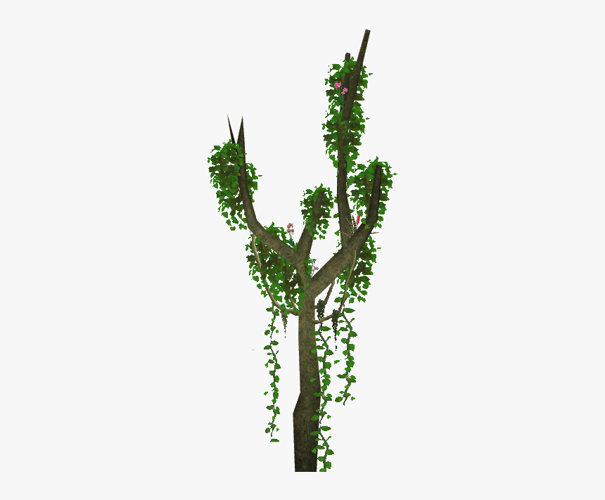 Monkey Tree - Jungle Tree Transparent, HD Png Download , Transparent ...