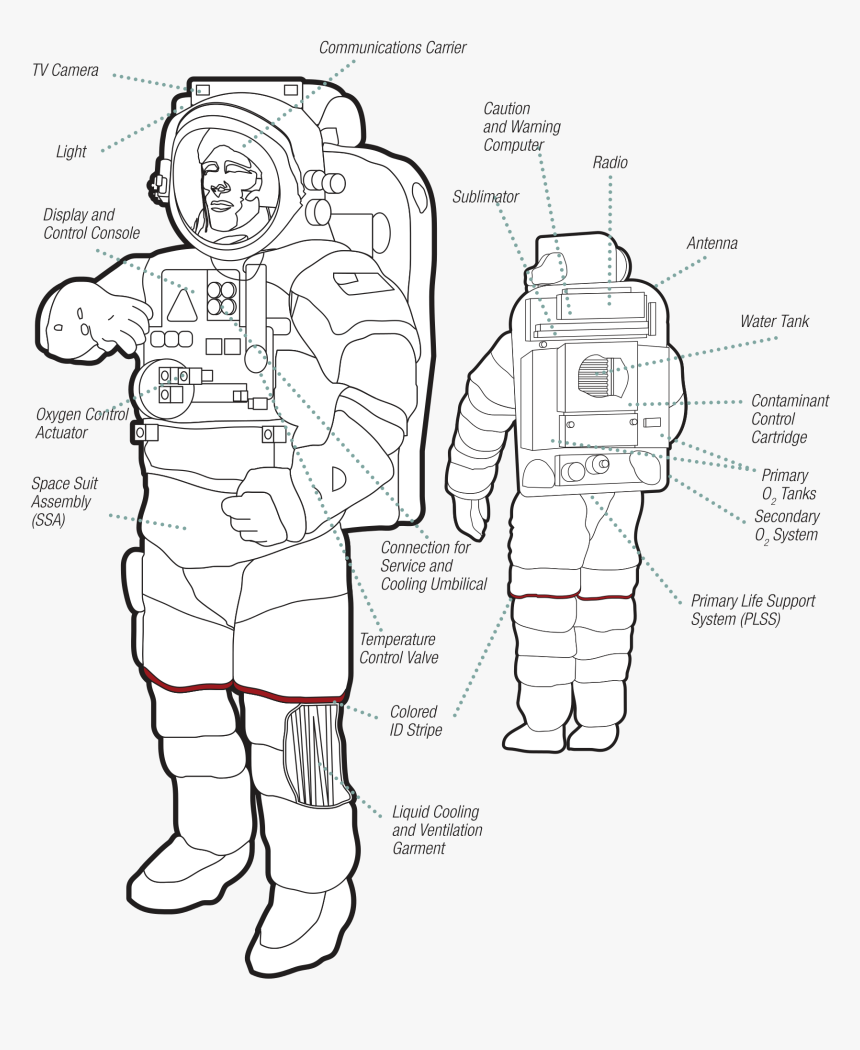 Transparent Emu Clipart - Emu Space Suit Details, HD Png Download ...