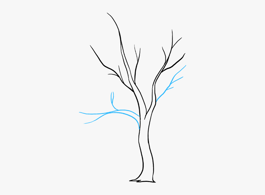 How To Draw A Fall Tree - Illustration, HD Png Download , Transparent ...
