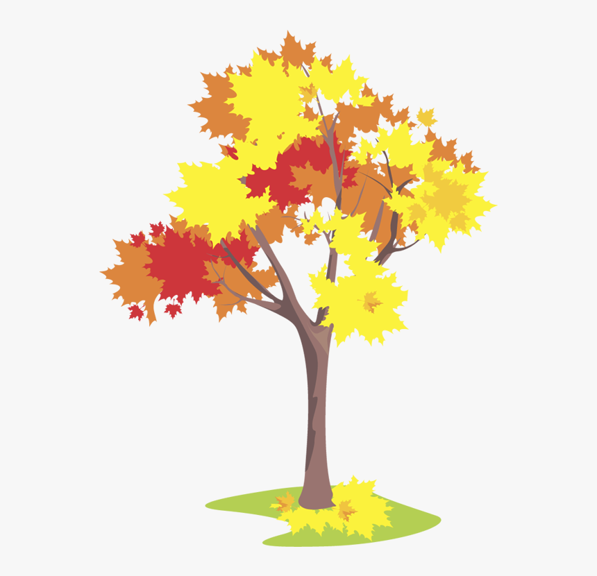 Maple Flashcard, HD Png Download , Transparent Png Image - PNGitem