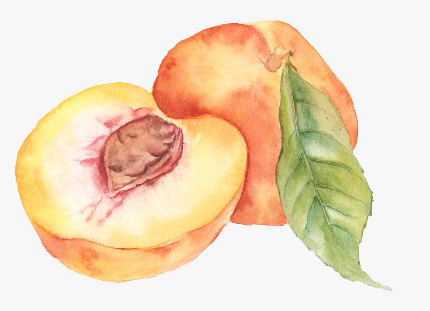 Peaches Png, Transparent Png , Transparent Png Image - PNGitem