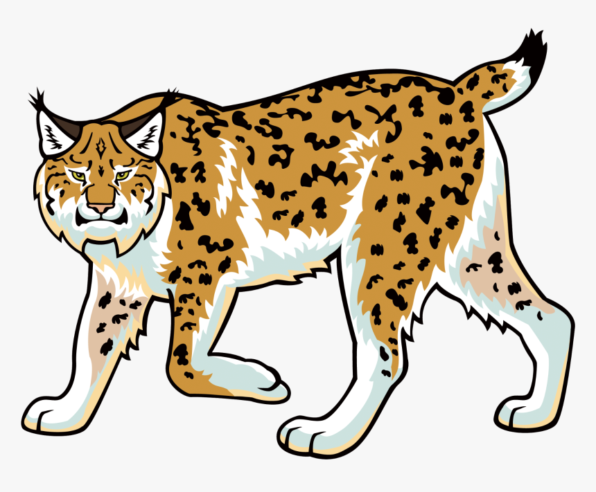 Bobcat Logo Clip Art