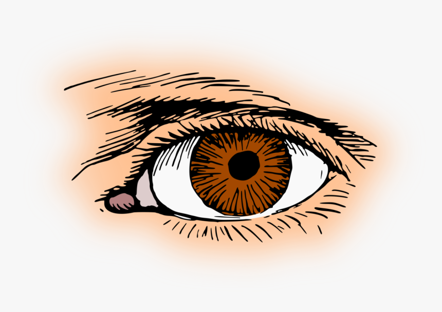 Human Eye Png - Eye Clip Art, Transparent Png , Transparent Png Image ...