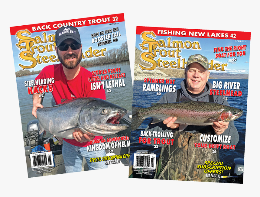 Pull Fish Out Of Water, HD Png Download , Transparent Png Image - PNGitem