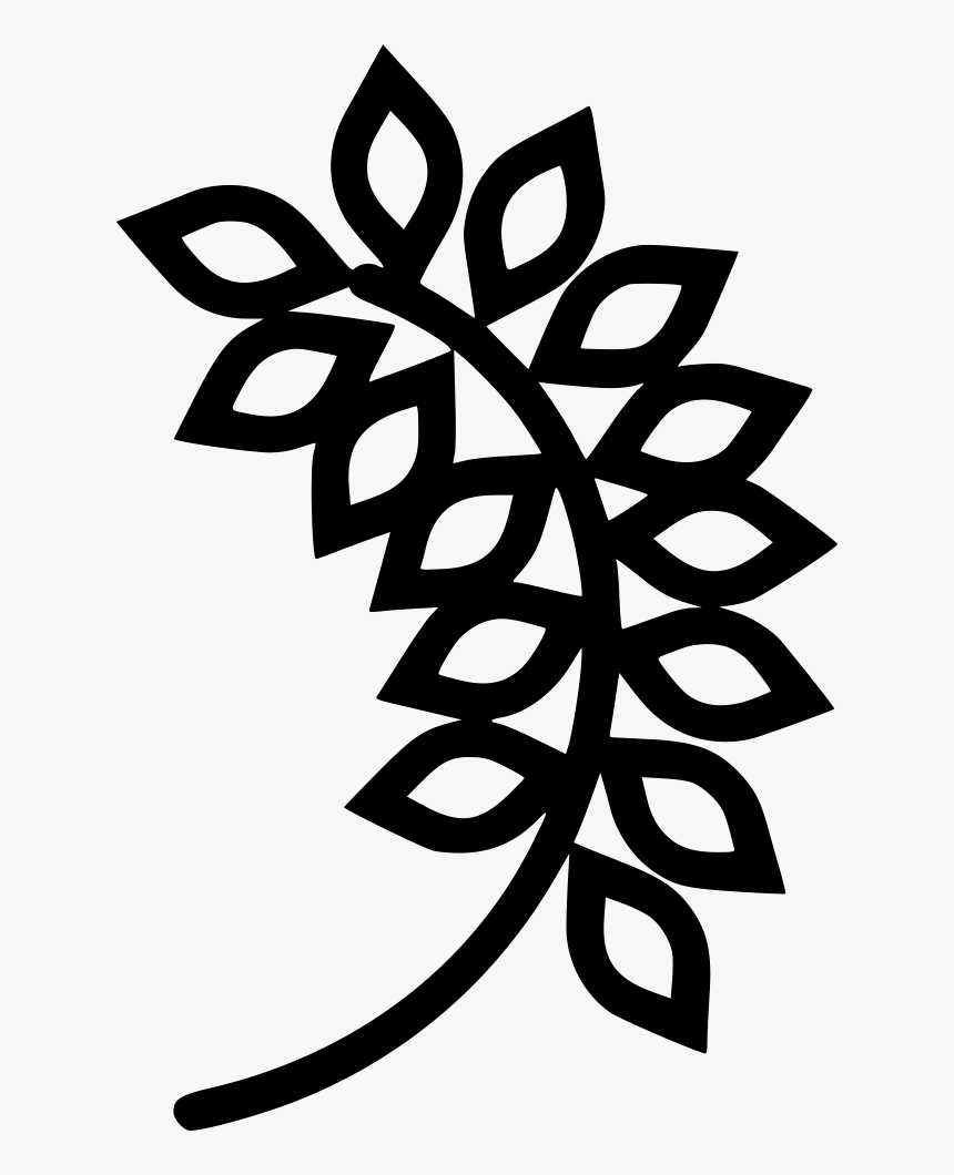 Oatmeal - Oat Vector, HD Png Download , Transparent Png Image - PNGitem