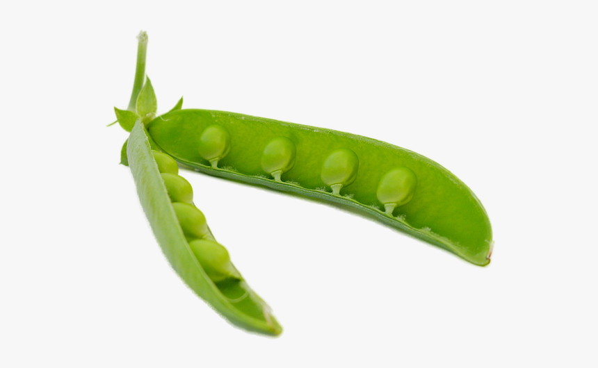 Pea Png Background - Pea Pod Transparent, Png Download , Transparent ...