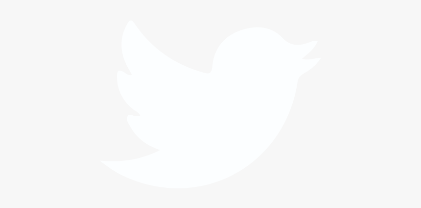 Twitter Products, HD Png Download , Transparent Png Image - PNGitem