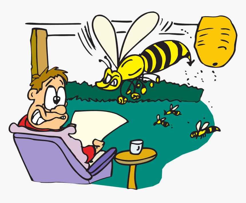 Man Scared Bees Flying Garden Human Person Adult - Man Scared Of Bee ...