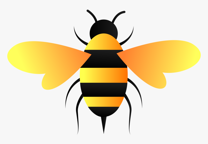 Transparent Bee Vector Png, Png Download , Transparent Png Image - PNGitem