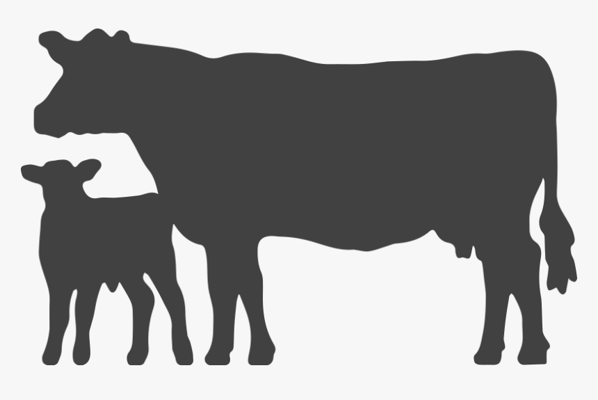 Red Angus Clipart
