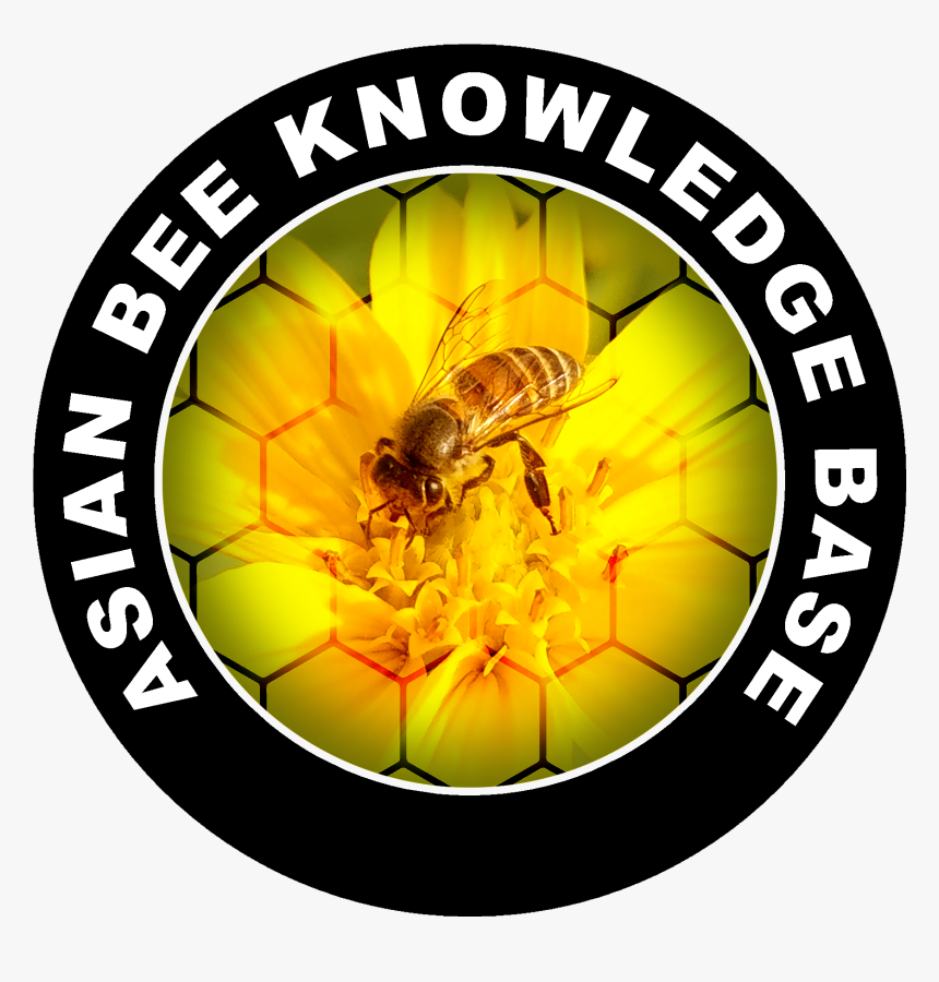 Transparent Busy Bee Clipart - Honeybee, HD Png Download , Transparent ...
