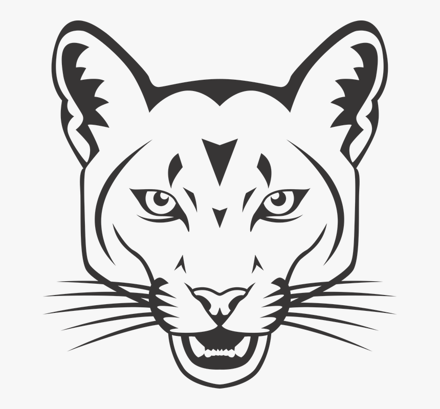 Cougar, Cougar Head, Mountain Lion, Lion, Wildcat, - Mountain Lion In ...