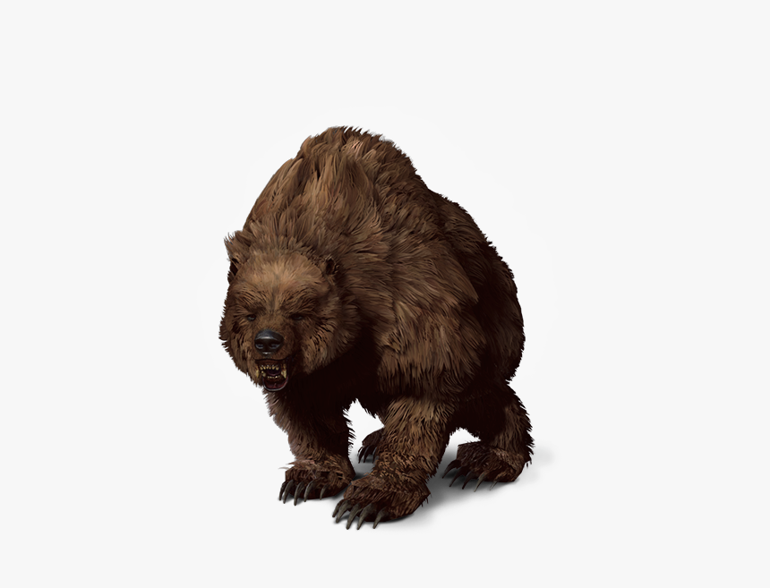 Transparent Grizzly Bear Png - Bear The Witcher 3, Png Download ...