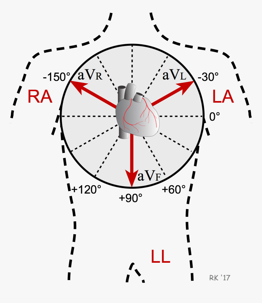 Ecg Augmented Lead Axis - Ecg Leads, HD Png Download , Transparent Png ...