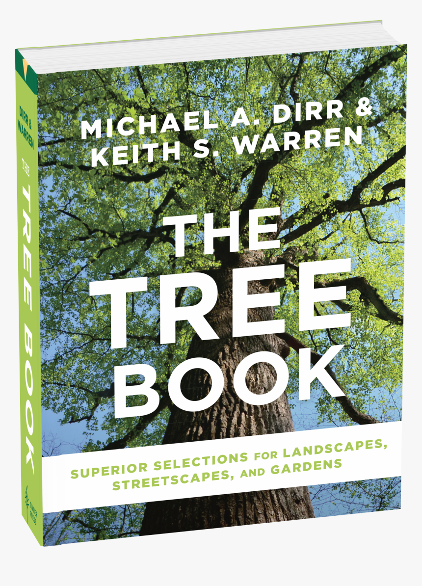 Cover - Tree Book, HD Png Download , Transparent Png Image - PNGitem