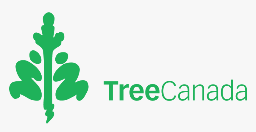 Logo - Tree Canada Logo, HD Png Download , Transparent Png Image - PNGitem