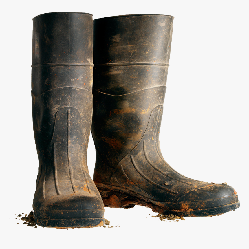 Getty Images, HD Png Download , Transparent Png Image - PNGitem