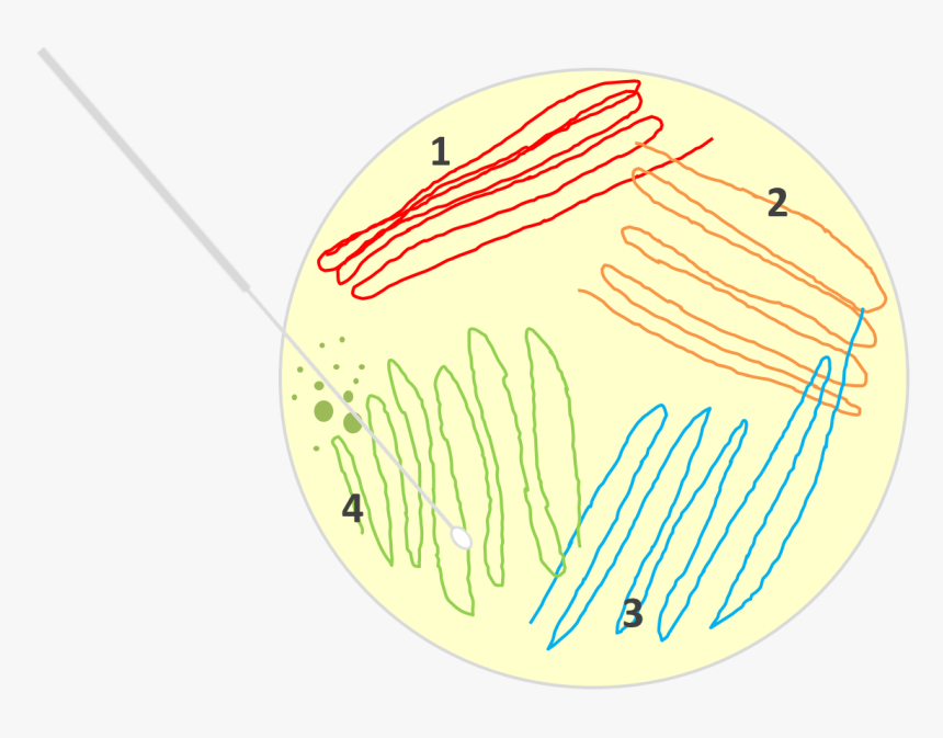 วิธี การ Streak Plate, HD Png Download , Transparent Png Image - PNGitem