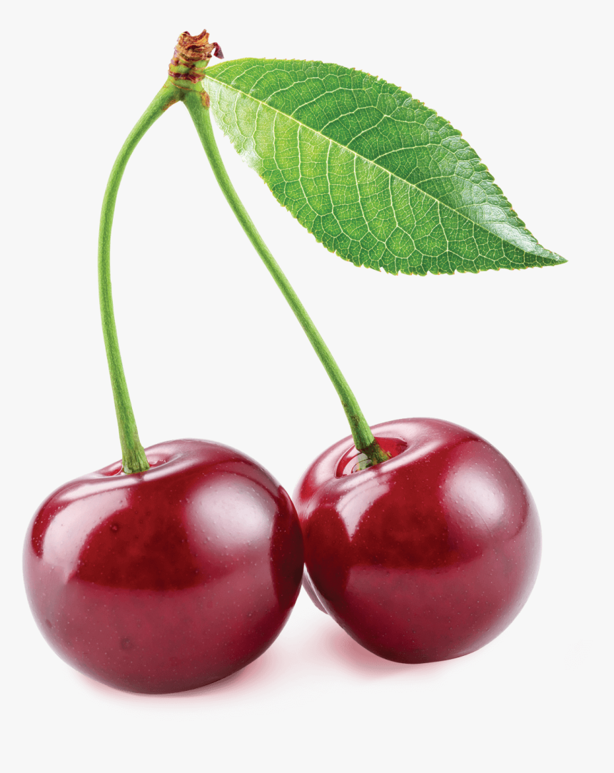 Transparent Cherries Clipart - Sour Cherry Png, Png Download ...