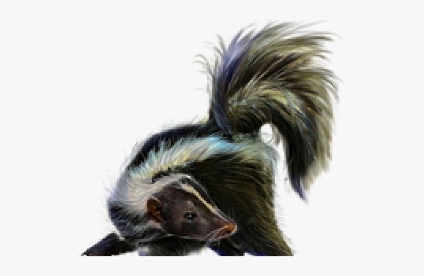 Skunk Png Transparent Images - Striped Skunk, Png Download ...